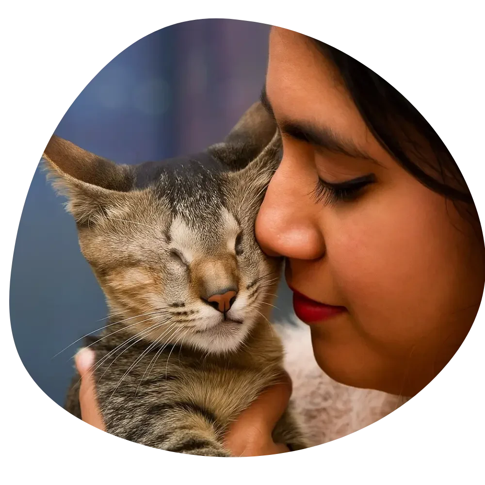 About The Feline Foundation | Mumbai’s Cat Welfare NGO